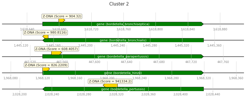 GitHub - greggasd/hse22_project