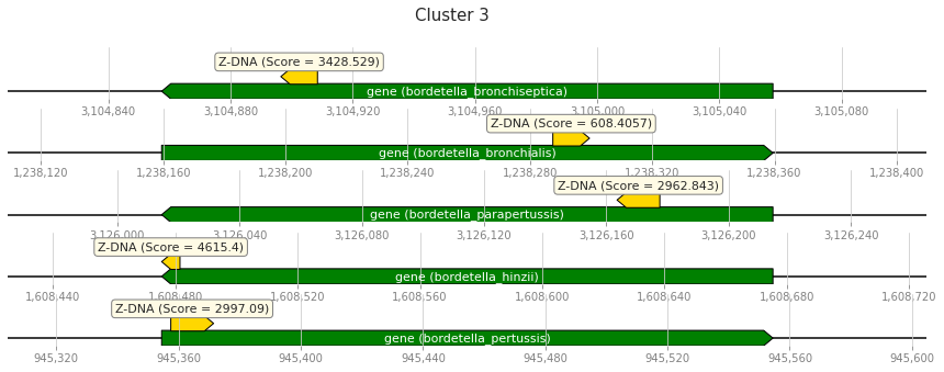 GitHub - greggasd/hse22_project