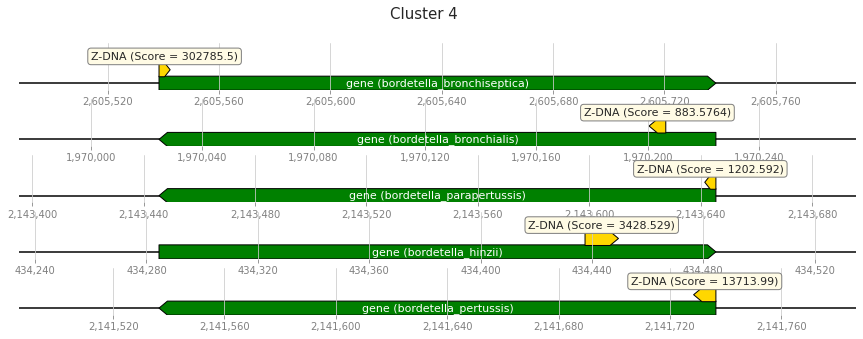 GitHub - greggasd/hse22_project