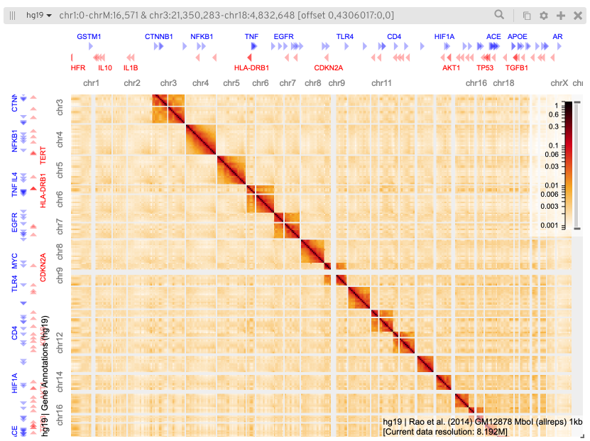 Gene glyph colors on Firefox · Issue #811 · higlass/higlass · GitHub