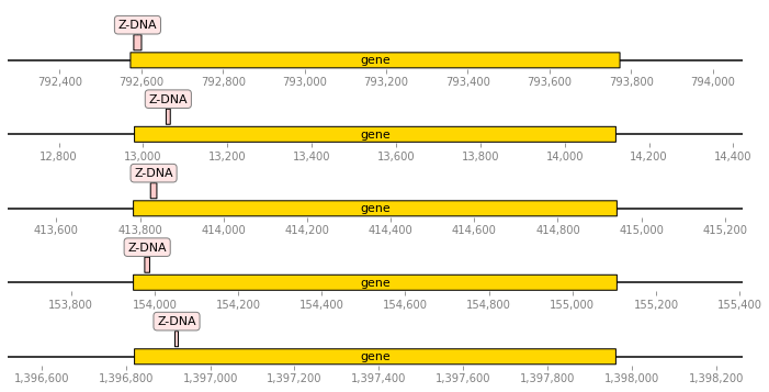 GitHub - LittlePolly/hse22_project_Lachancea