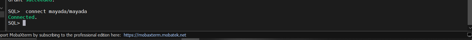 GitHub - MayadaMagdy24/DBA-lab3