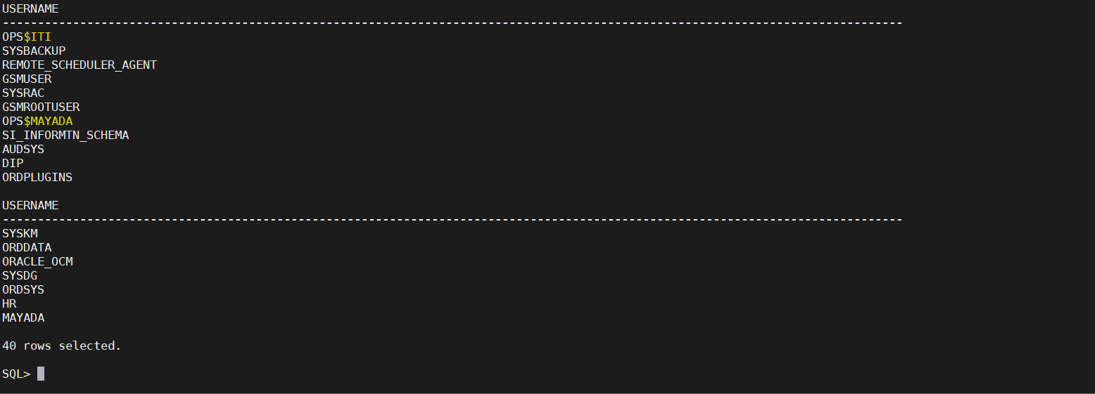 GitHub - MayadaMagdy24/DBA-lab3