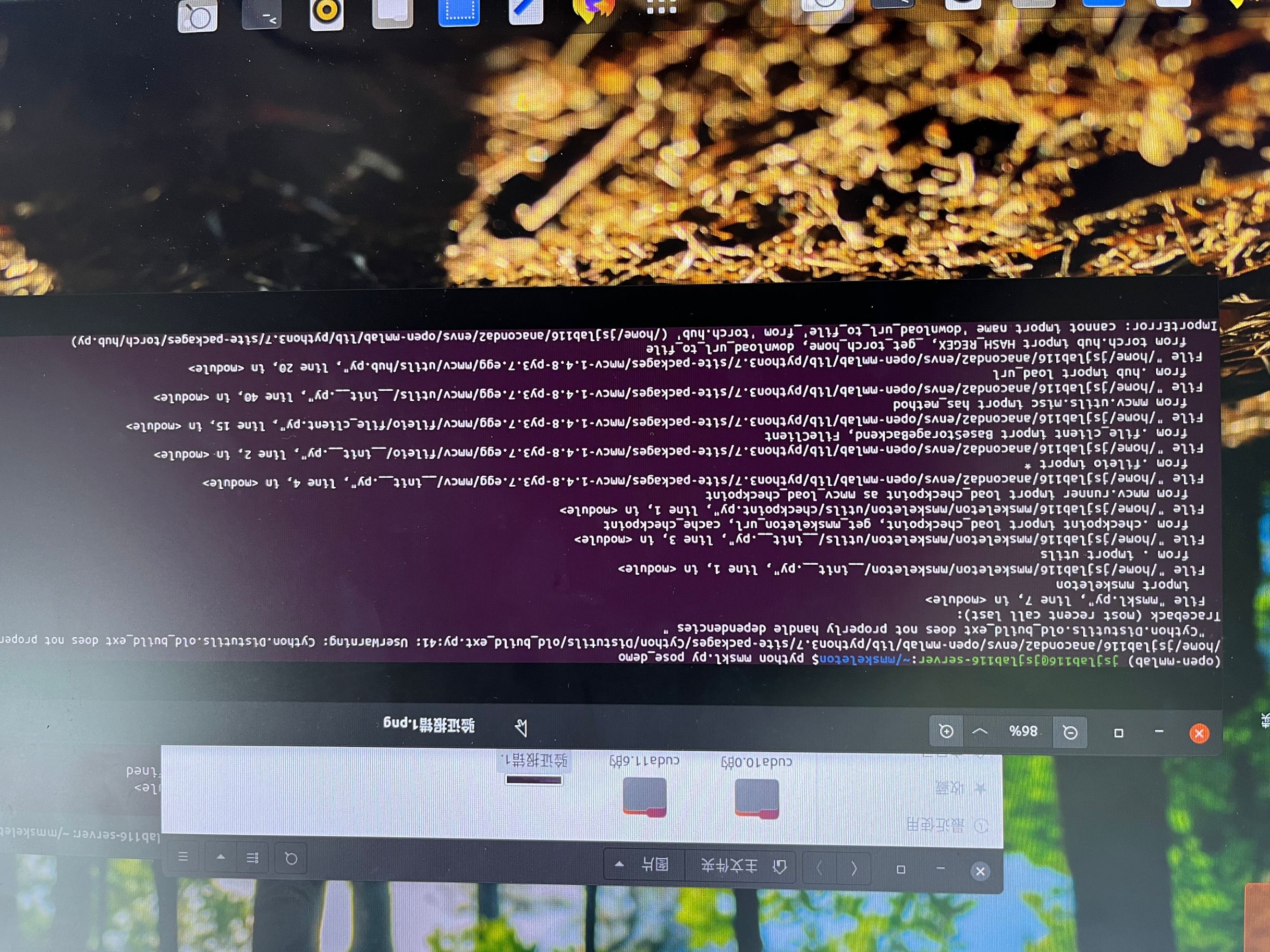 cannot import name 'download_url_to_file'_from 'torch.hub' · Issue #444 · open-mmlab/mmskeleton ...