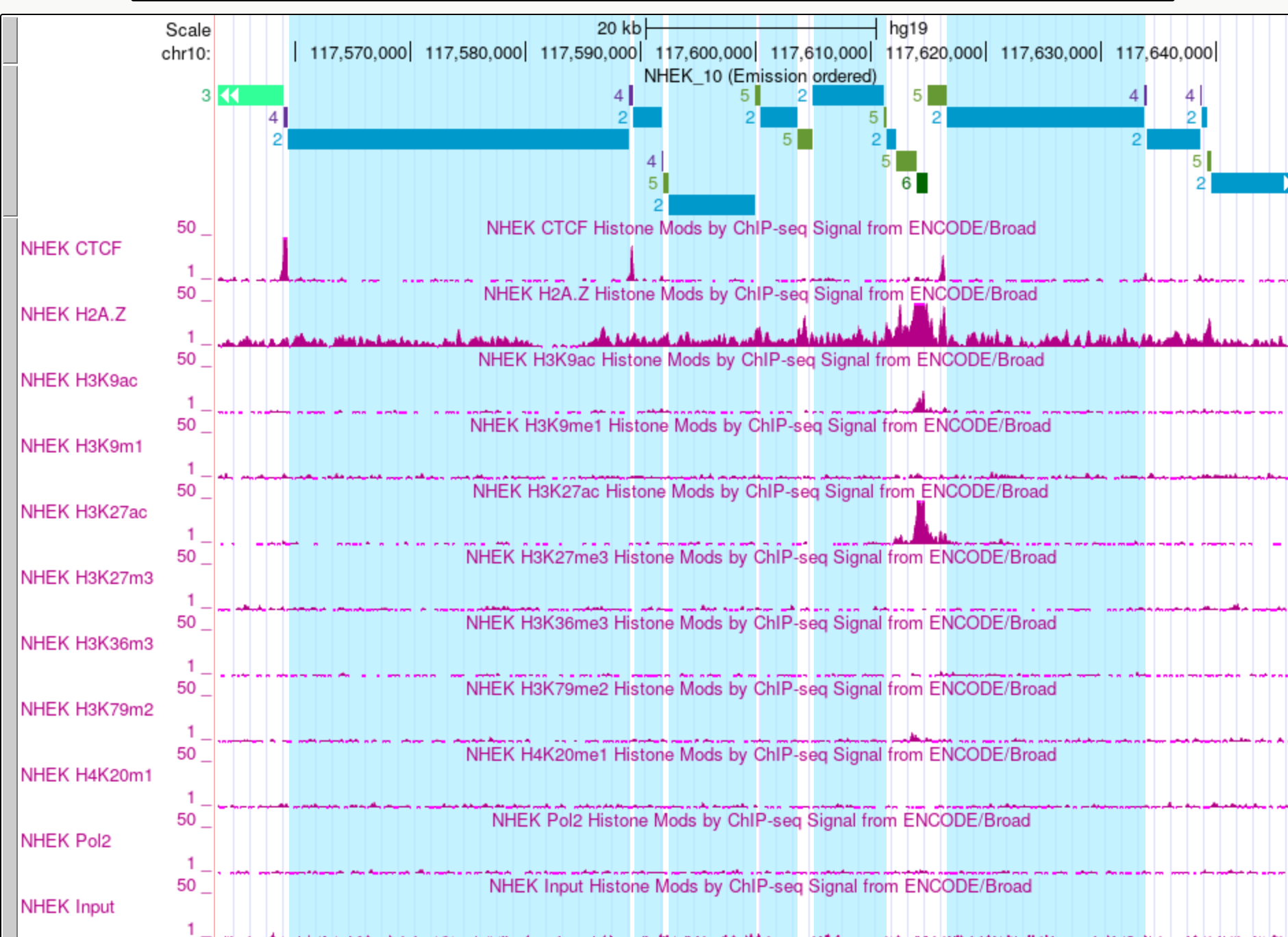 GitHub - AnnaIvanovaaa/hse_hw3_chromhmm