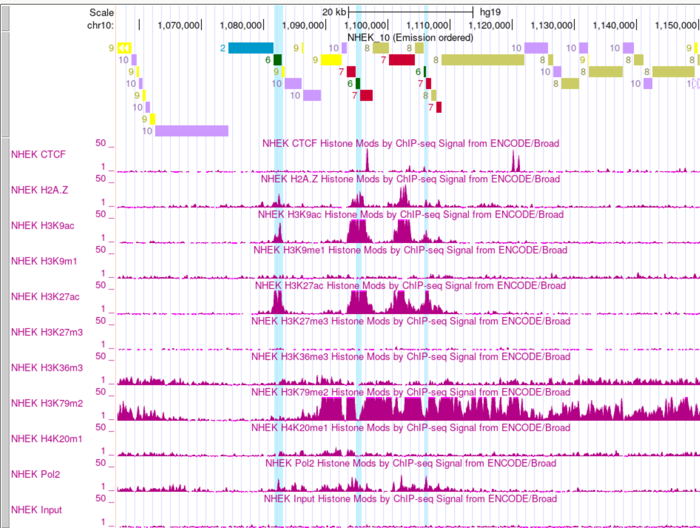 GitHub - AnnaIvanovaaa/hse_hw3_chromhmm