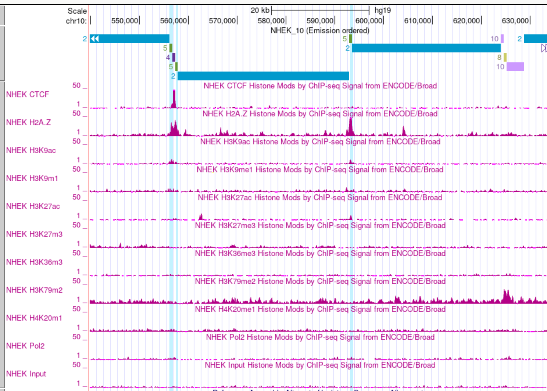 GitHub - AnnaIvanovaaa/hse_hw3_chromhmm
