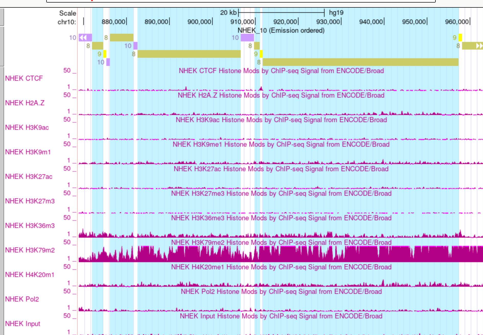 GitHub - AnnaIvanovaaa/hse_hw3_chromhmm