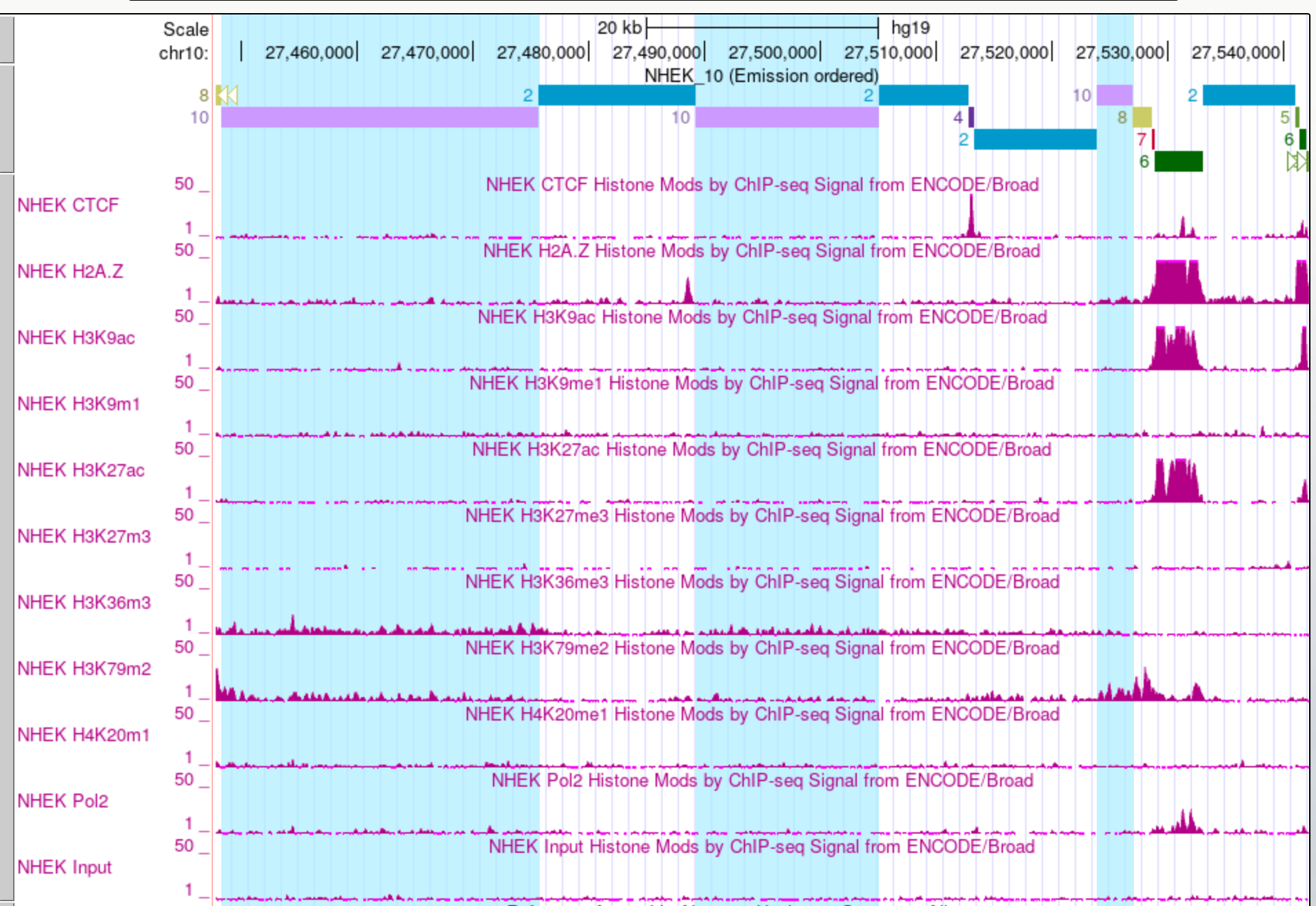 GitHub - AnnaIvanovaaa/hse_hw3_chromhmm