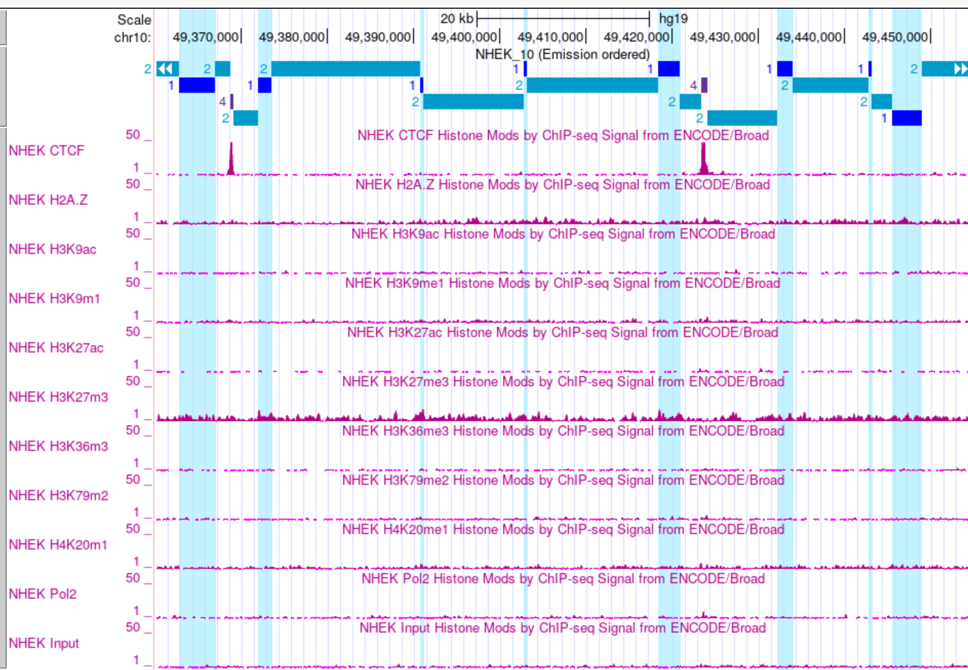 GitHub - AnnaIvanovaaa/hse_hw3_chromhmm