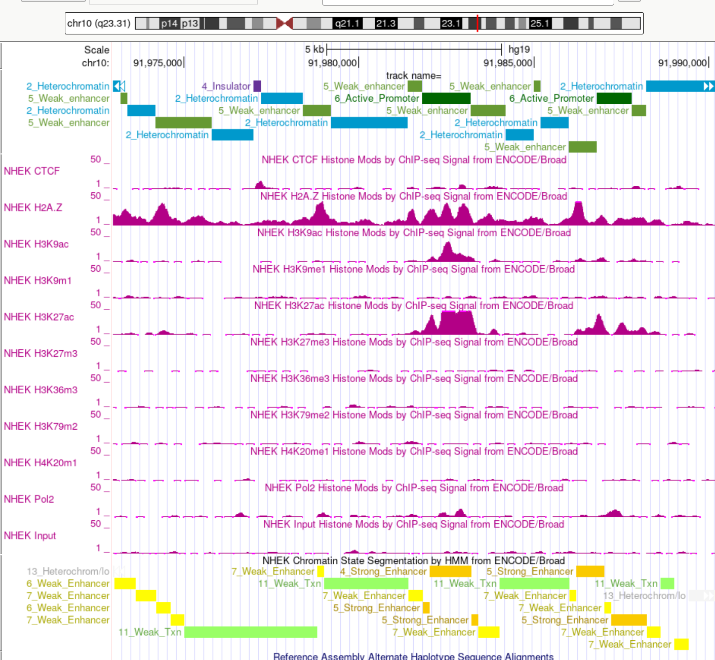 GitHub - AnnaIvanovaaa/hse_hw3_chromhmm