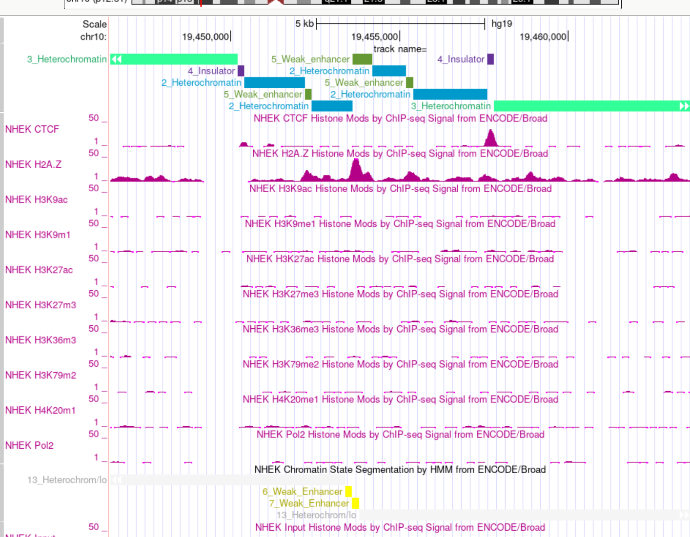 GitHub - AnnaIvanovaaa/hse_hw3_chromhmm