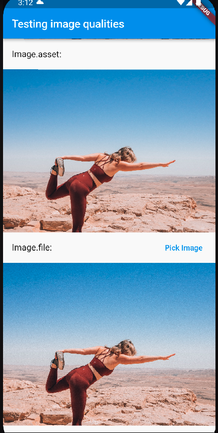 Flutter displays high quality images with noise · Issue #100113 ...