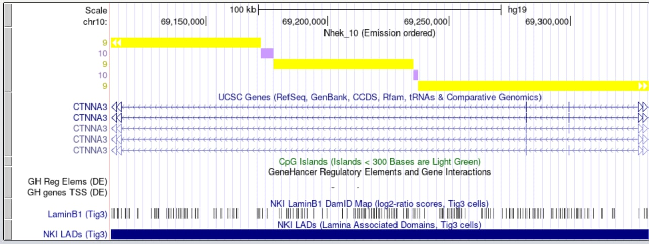GitHub - Sergey-Arakelov/hse_hw3_chromhmm