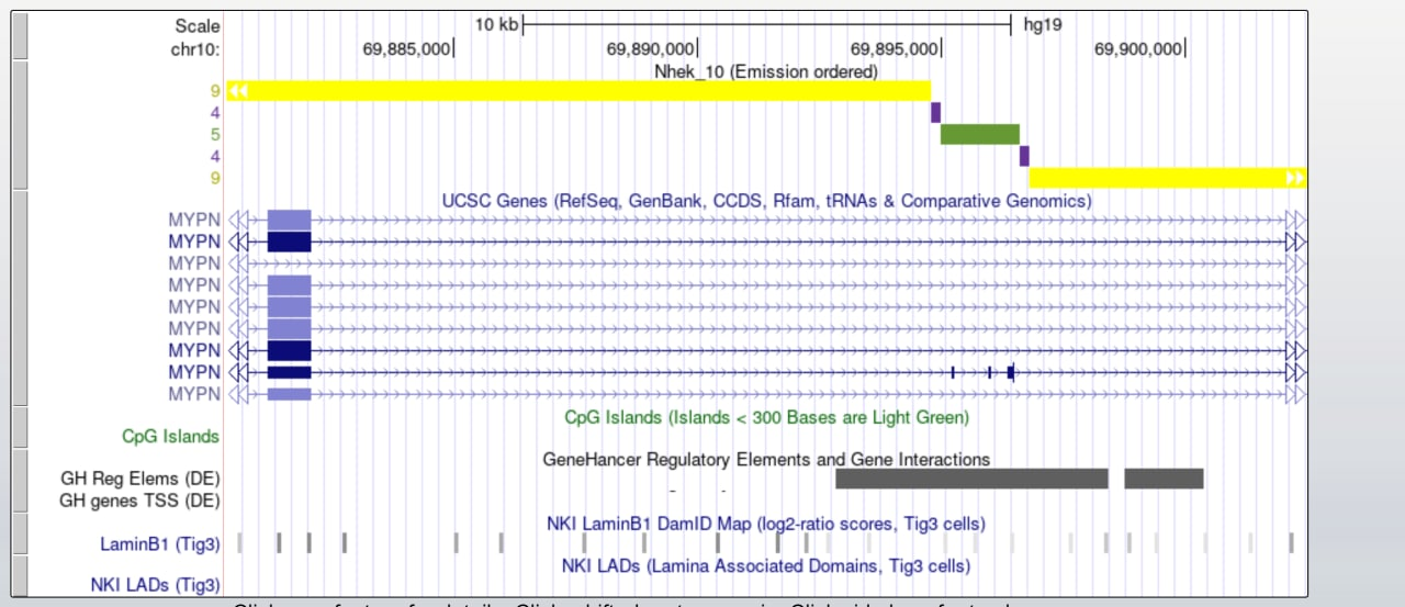 GitHub - Sergey-Arakelov/hse_hw3_chromhmm