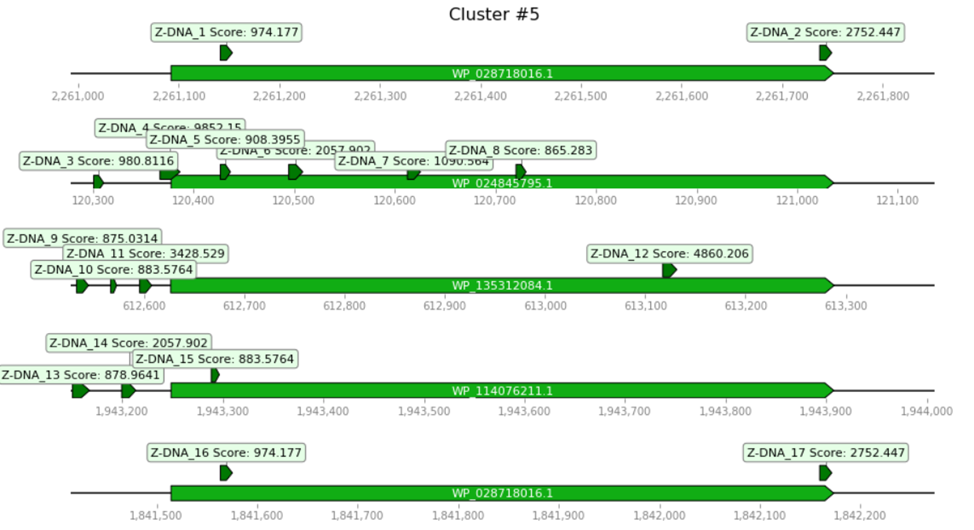 GitHub - Sergey-Arakelov/hse22_project_Paracoccus-: Arakelov_Sergei_Project
