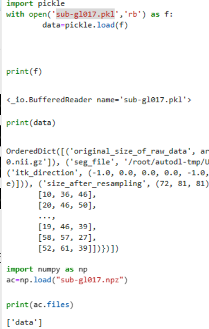 How to apply the data preprocessed by nnunet to the new model? · Issue ...