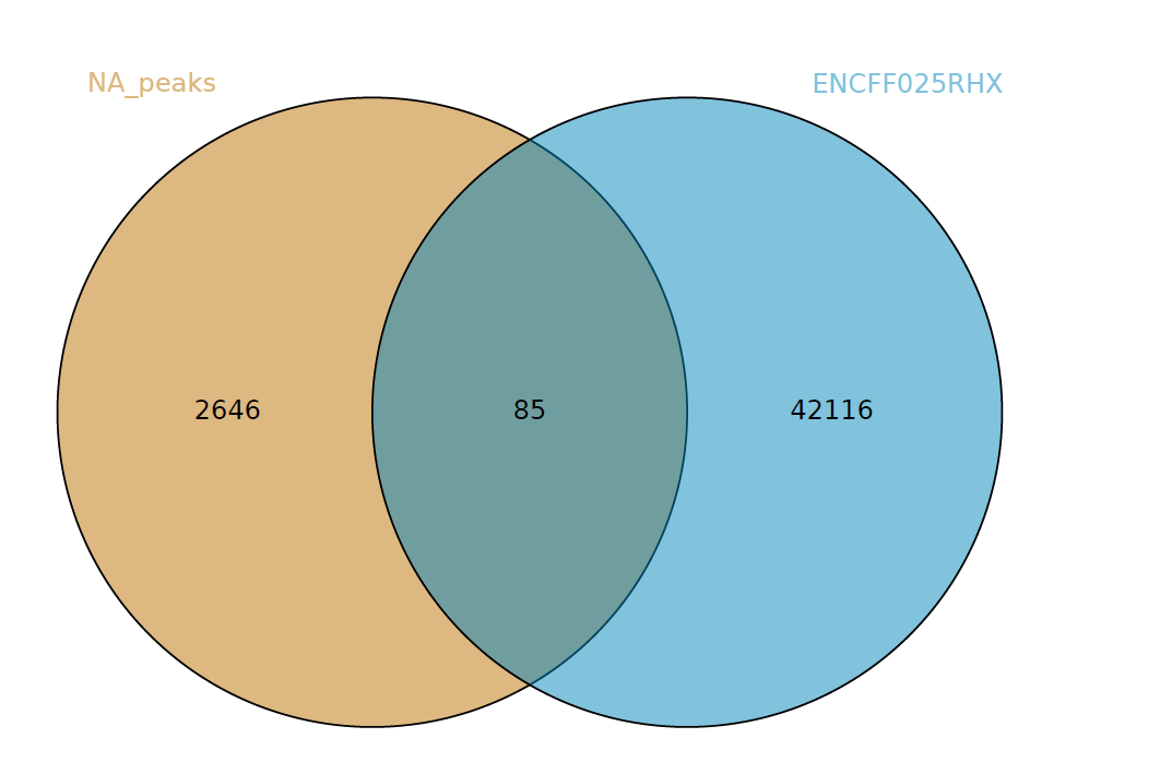 GitHub - Solomorning/hse_hw2_chip