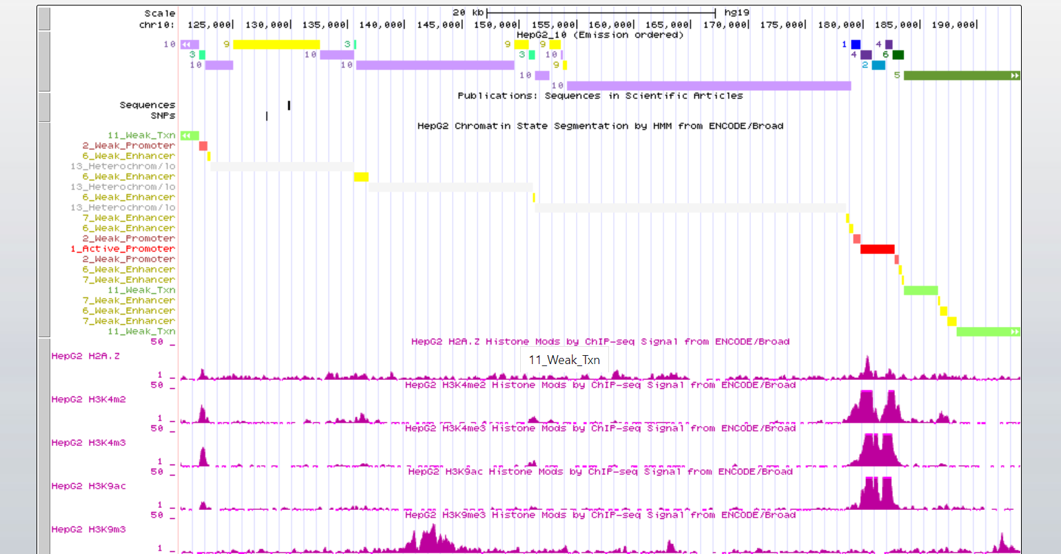 GitHub - Solomorning/hse_hw3_chromhmm