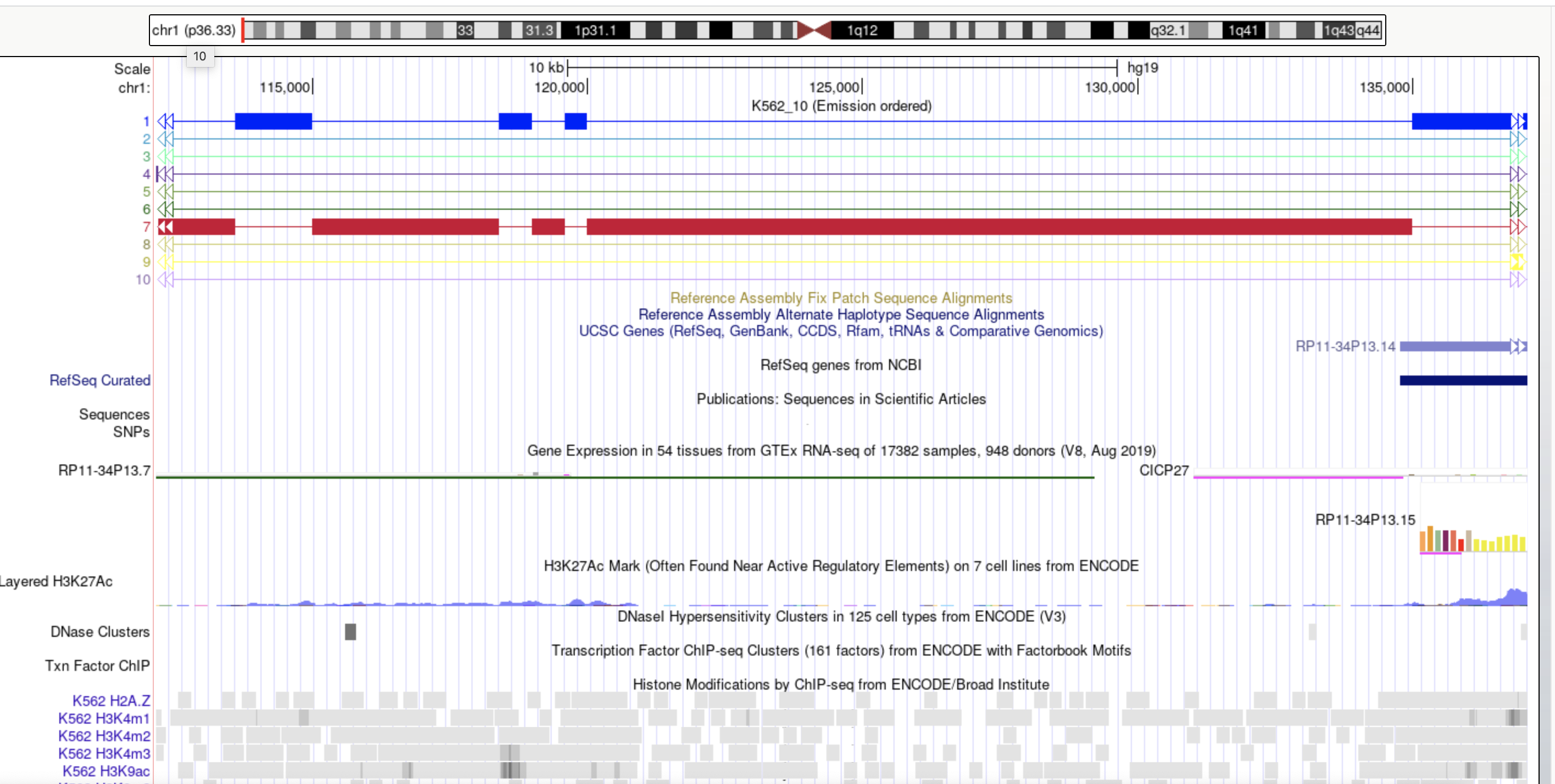 GitHub - ainesko/hse_hw3_chromhmm