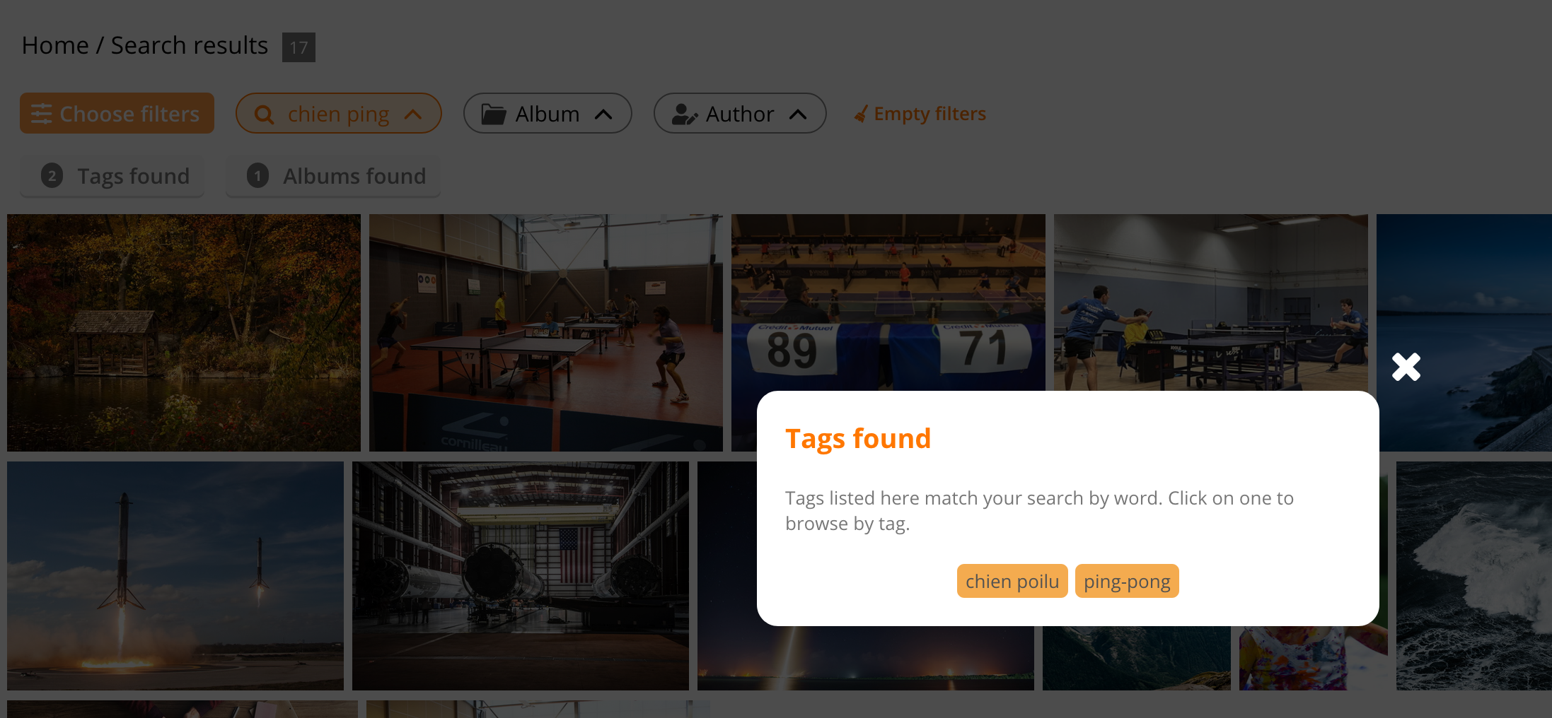 [search] tags and albums found with search by words · Issue #1957 · Piwigo/Piwigo · GitHub