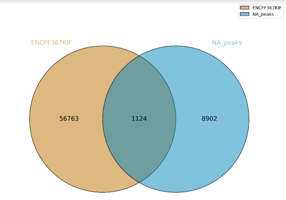 GitHub - GrishanyaTarasenko/hse_hw2_chip