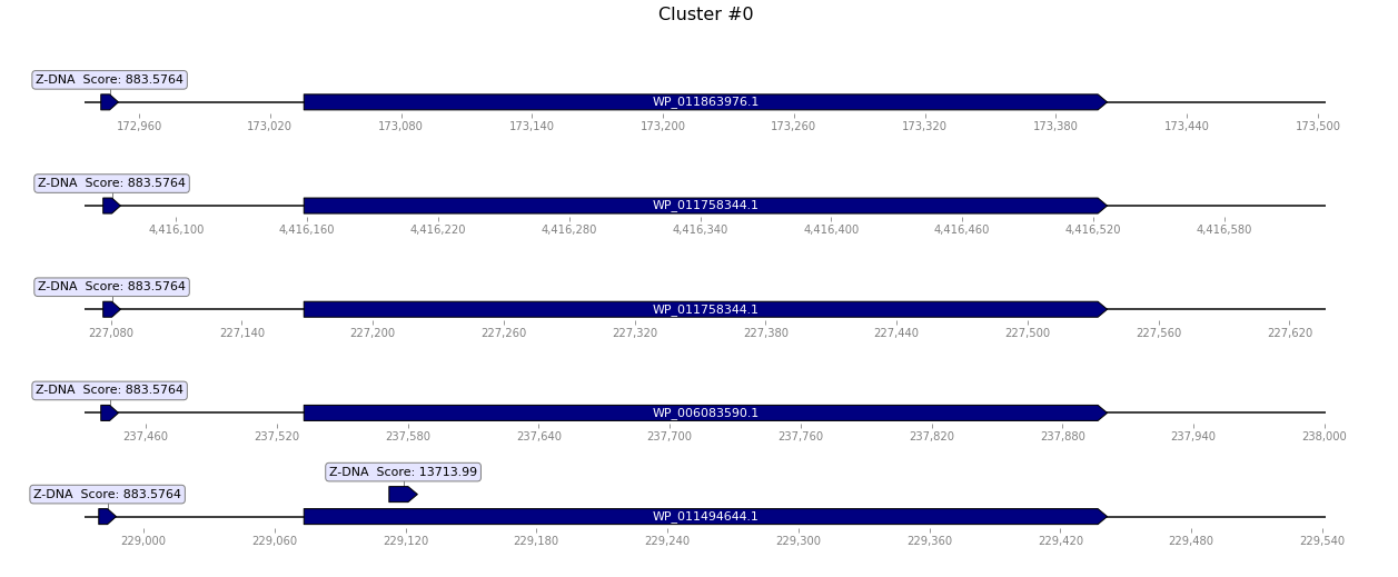 GitHub - GrishanyaTarasenko/hse22_project