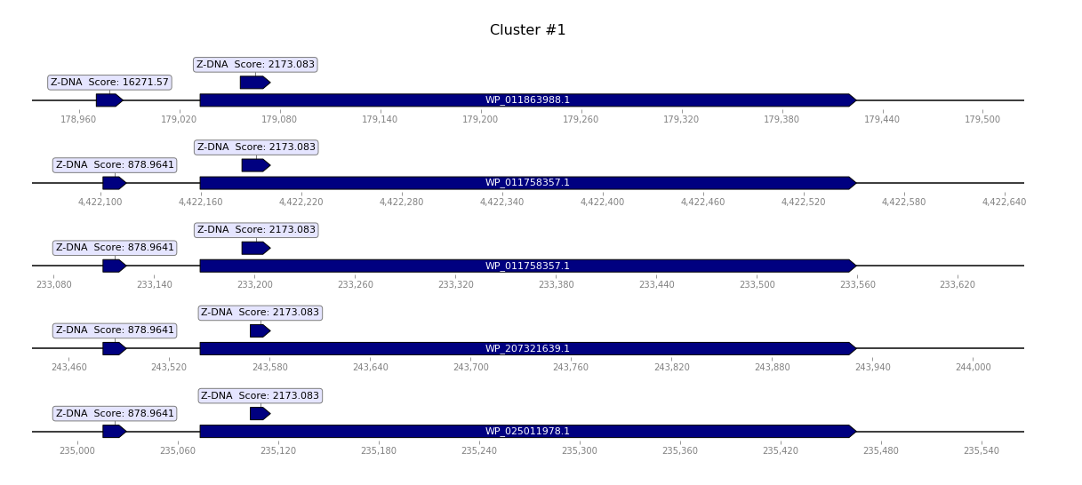 GitHub - GrishanyaTarasenko/hse22_project