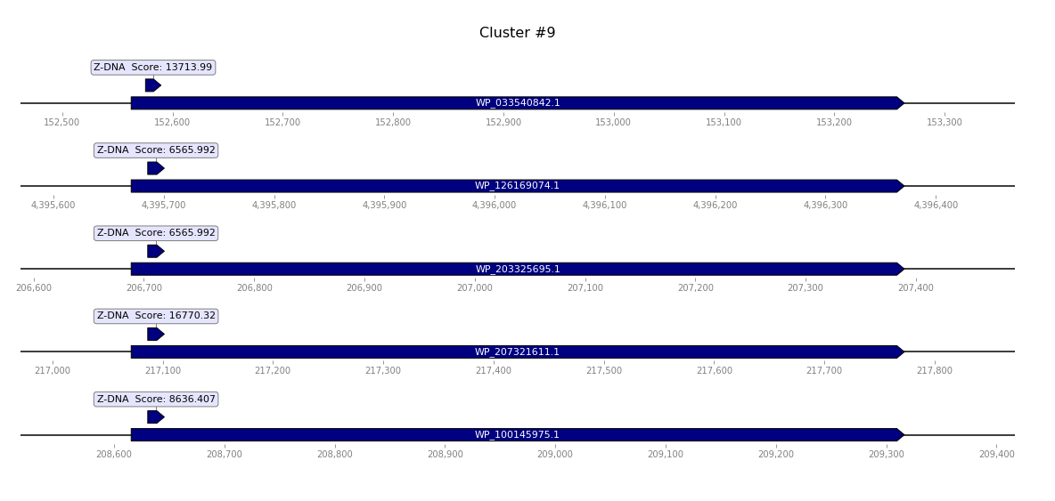 GitHub - GrishanyaTarasenko/hse22_project