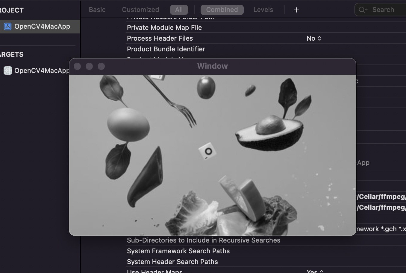 Hello OpenCV on mac App · Issue #95 · soapgu/PlayPen · GitHub