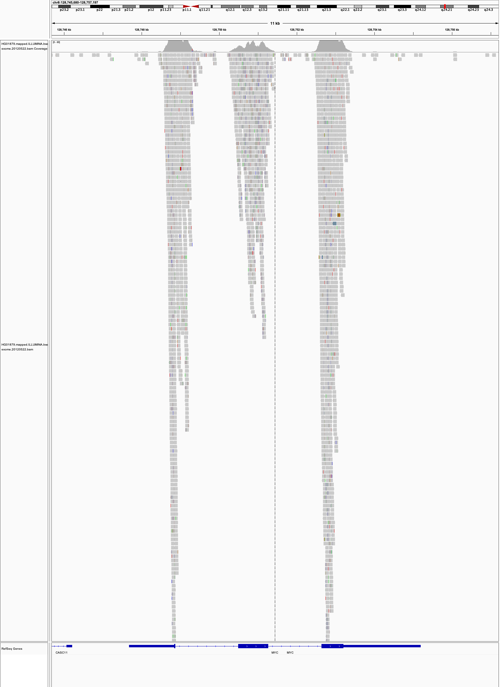 Unable to adjust image height via batch script · Issue #160 · igvteam/igv · GitHub