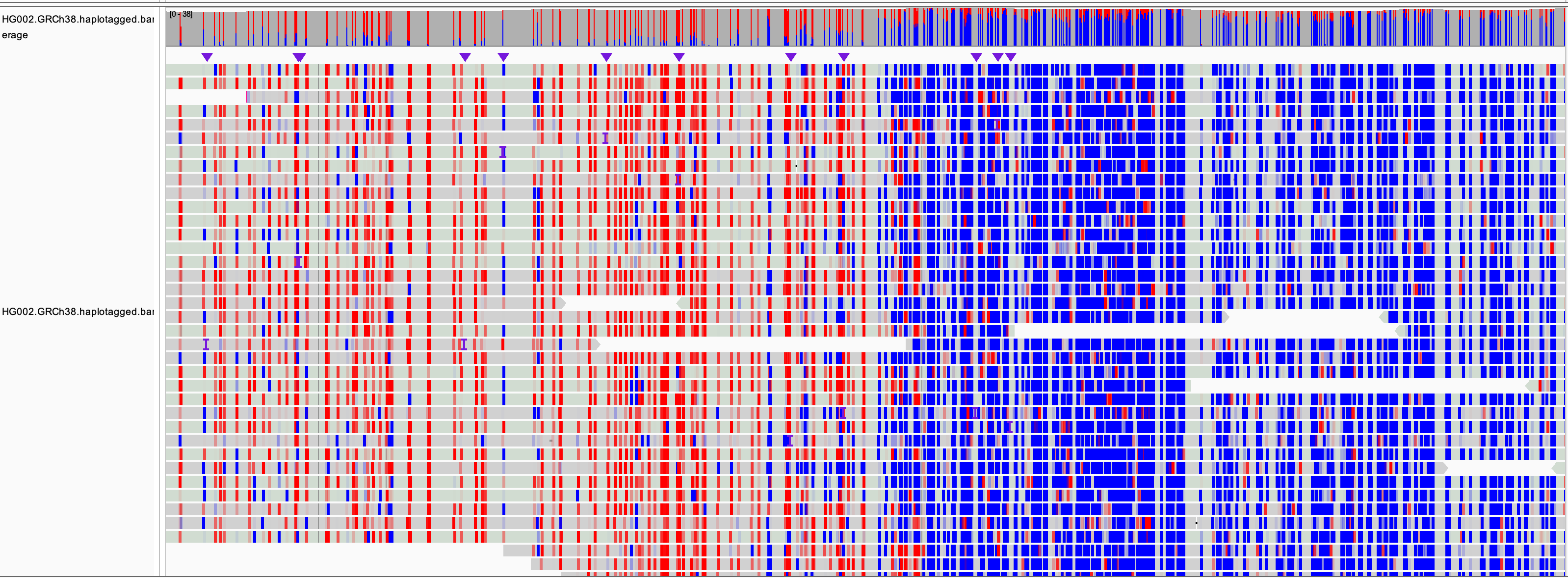 Long read methylation display · Issue #1133 · igvteam/igv · GitHub