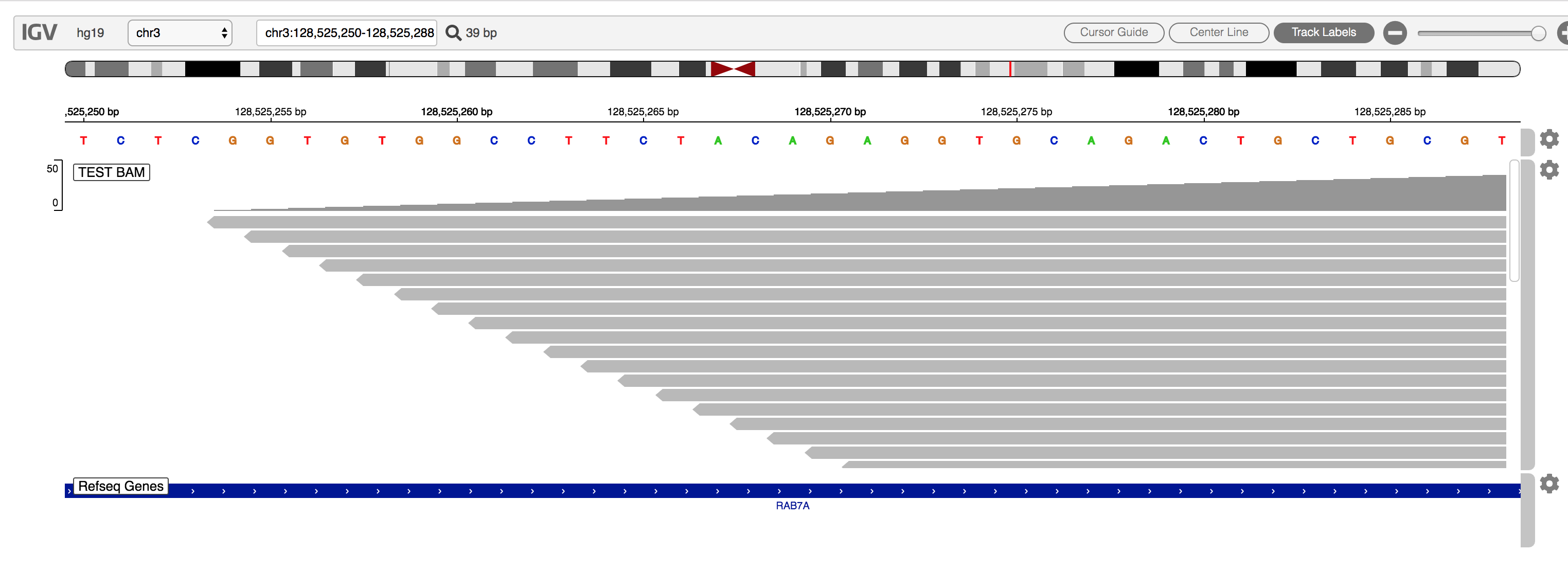 BAM index file "is not a bai file" · Issue #843 · igvteam/igv.js · GitHub