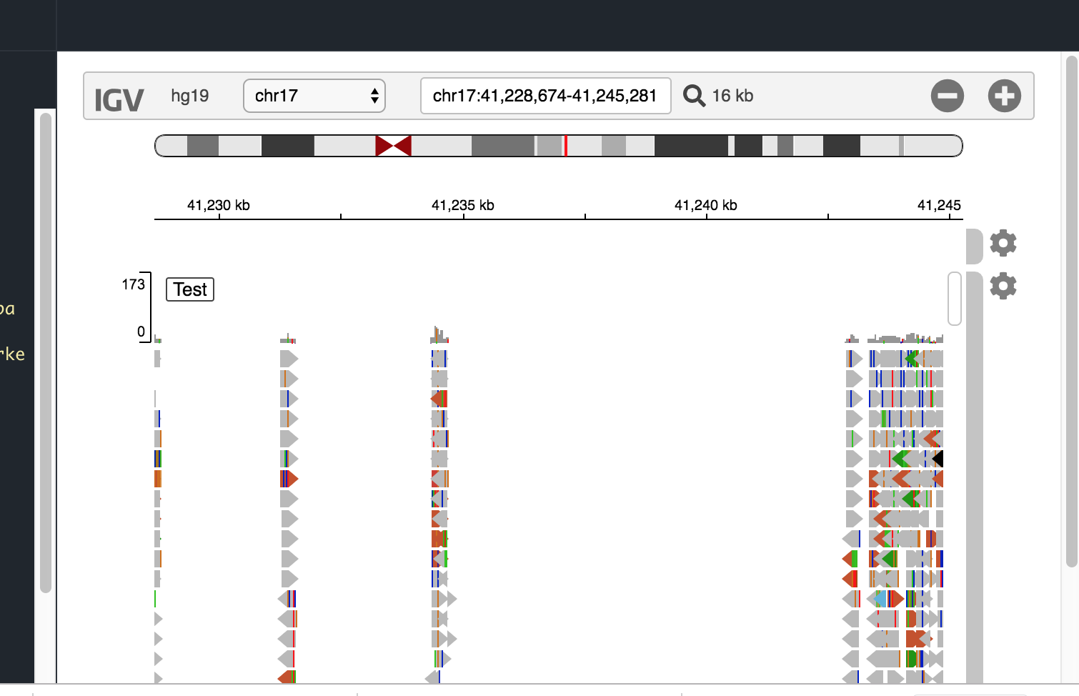 Browser Crashes when zooming bam file on AWS S3 · Issue #991 · igvteam/igv.js · GitHub