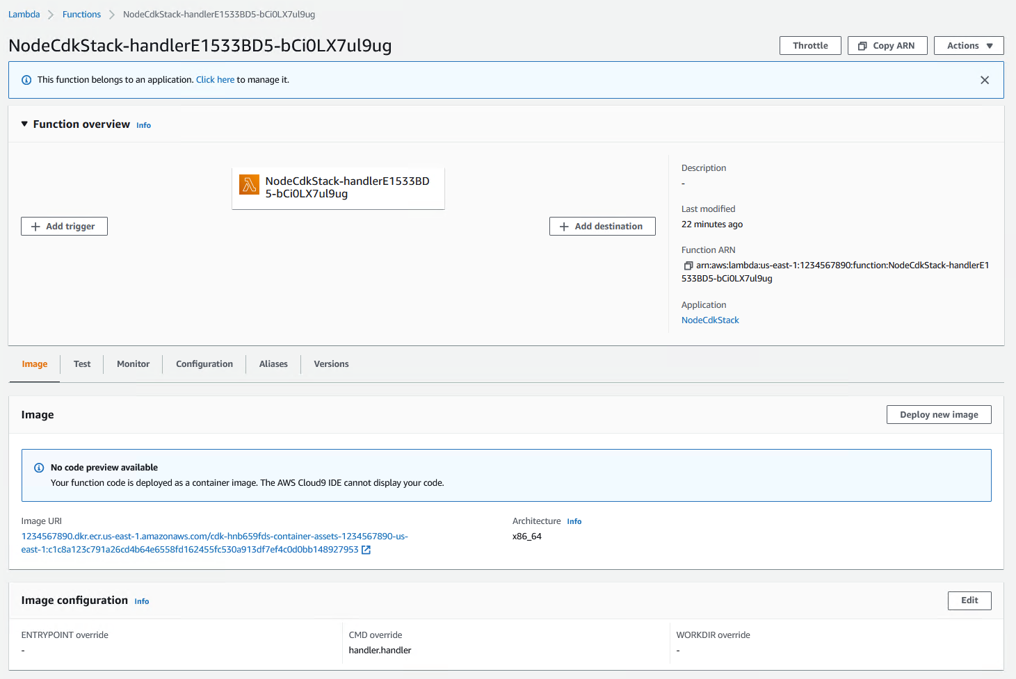 bug: lambda.DockerImageCode.fromImageAsset failing to produce image and uploading to local ECR ...