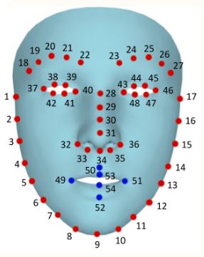 GitHub - nourhenehanana/head-pose-estimation: This repository ...