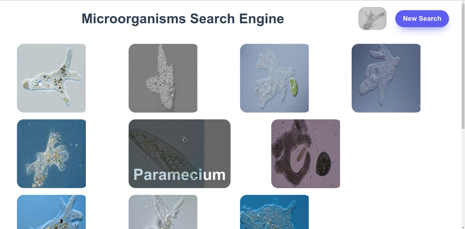 GitHub - Engrima18/Microorganism_Search_Engine: Images search engine scaled with Docker and AWS ...