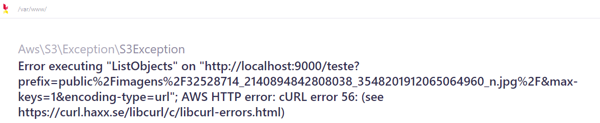 Help with minio and Laravel 6 · Issue #2383 · laradock/laradock · GitHub