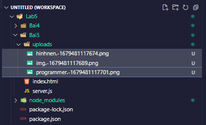 GitHub - tailucanh/Lab5_MOB402_ServerAndroid