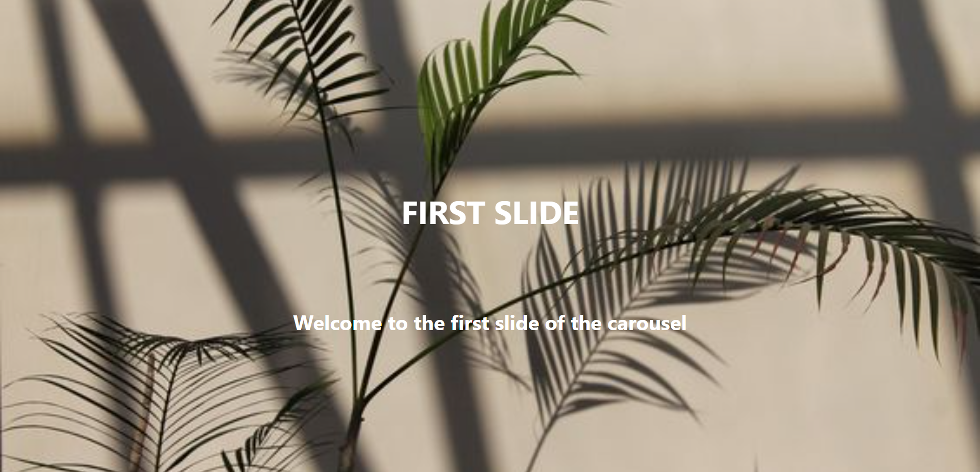 GitHub - Anuayshh/Java-imgcarousel