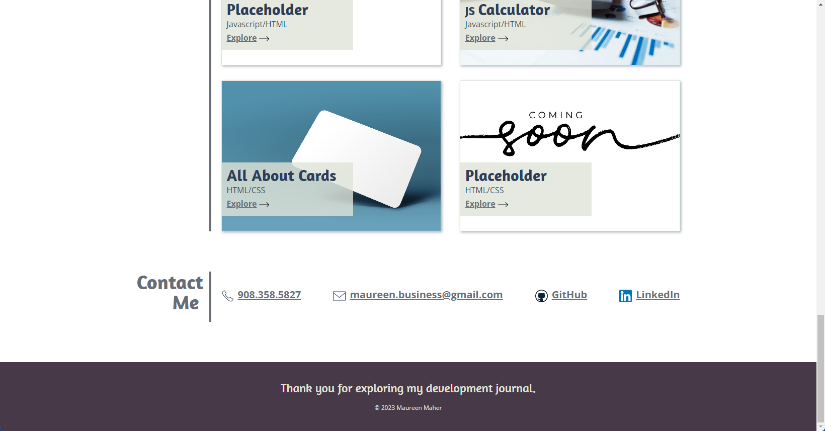 GitHub - Moebirdie/limitless-exploration