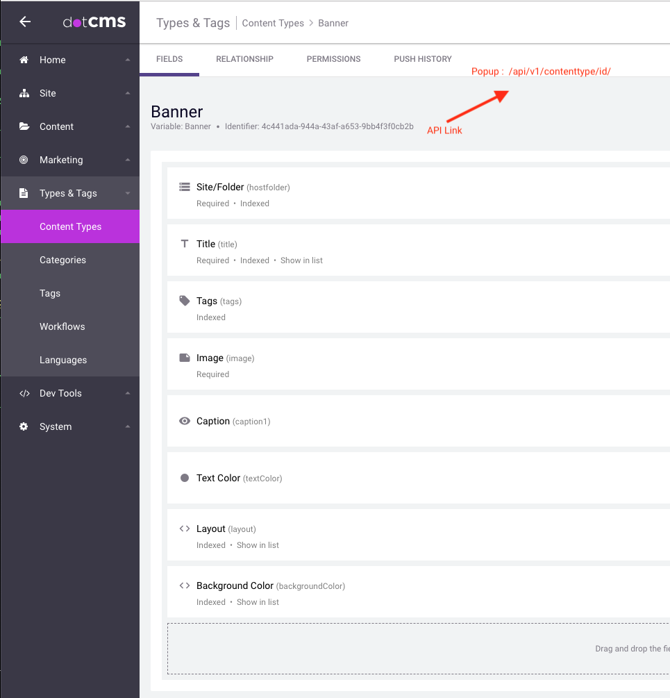 Add api link (button) to new content type · Issue #15620 · dotCMS/core · GitHub