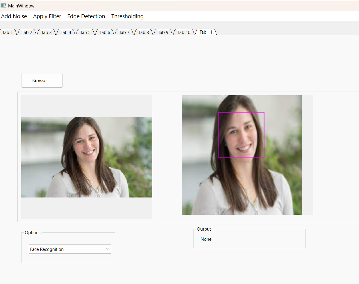 GitHub - SaraElwatany/Face-Detection-and-Recognition: A Computer Vision tool kit with various ...