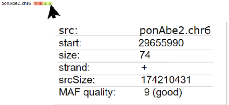 Support of Multiple Alignment Format (*.maf) · Issue #690 · epam/NGB ...