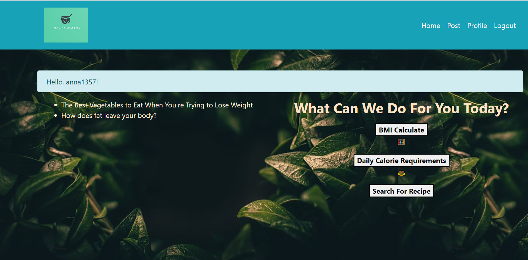 GitHub - Thingo2906/Capstone1-health-web-app