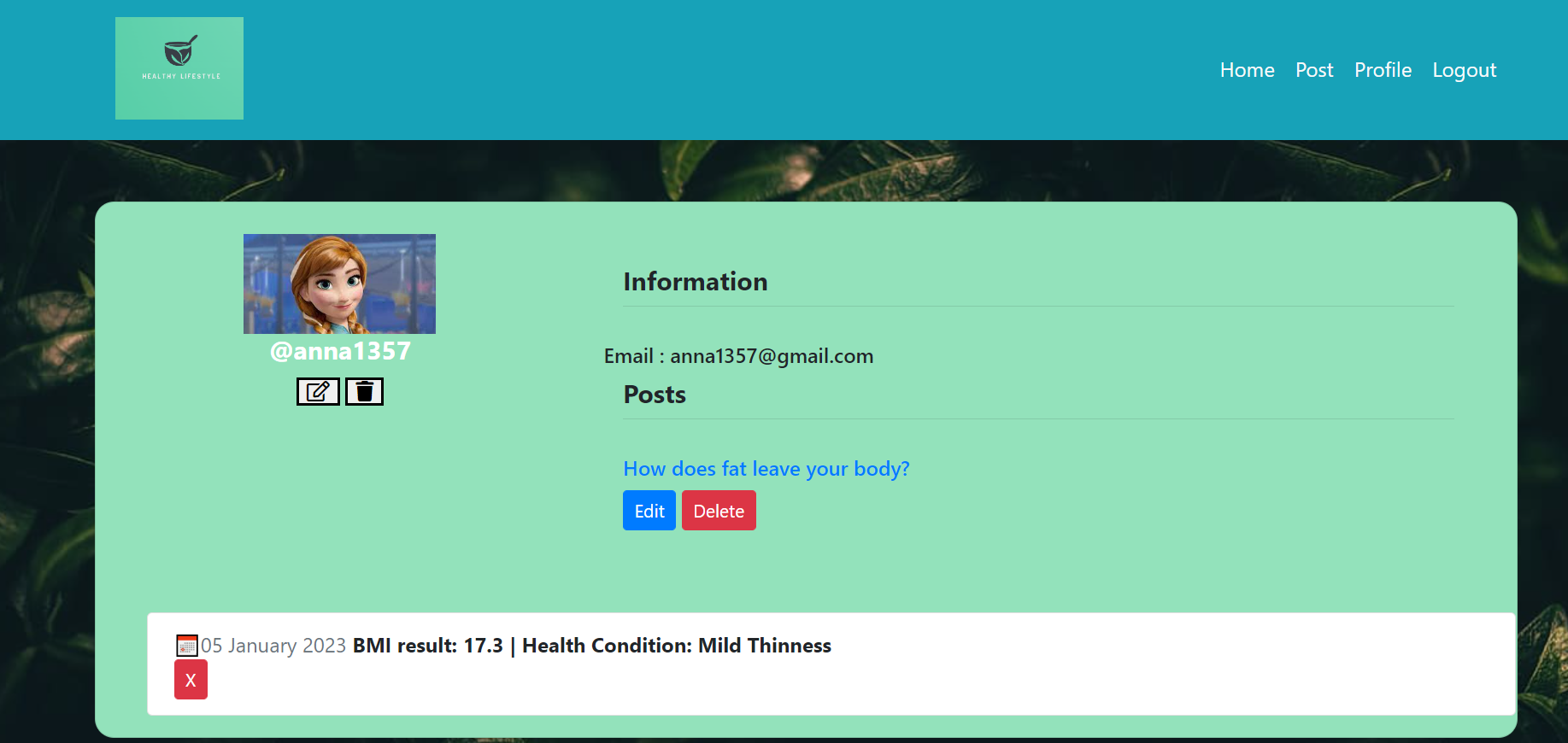 GitHub - Thingo2906/Capstone1-health-web-app