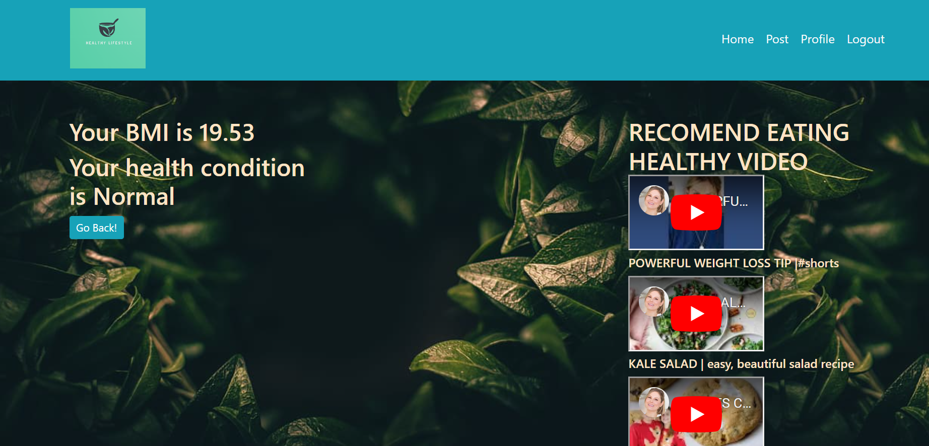 GitHub - Thingo2906/Capstone1-health-web-app