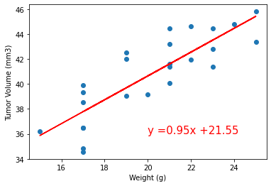 GitHub - valputla/Matplotlib-Analysis: Analysis of drug data in an animal study with matplotlib ...