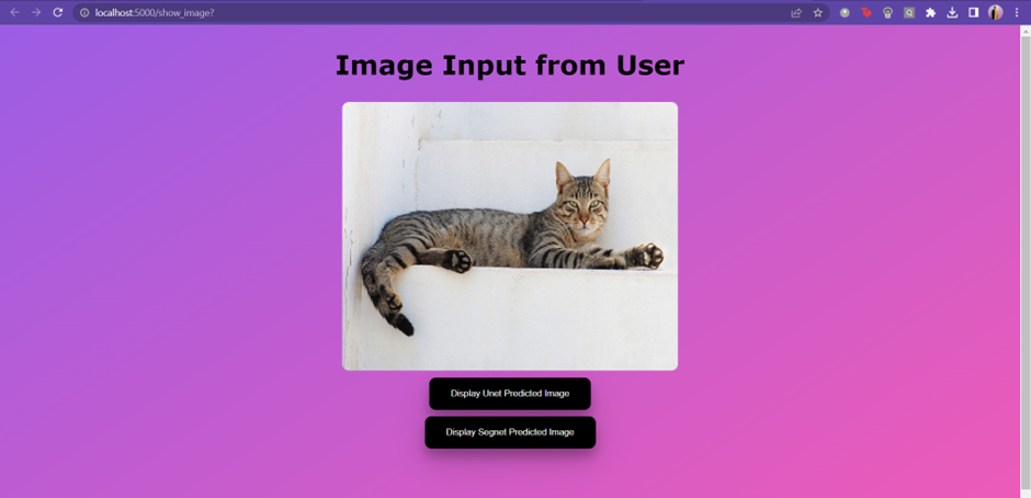 GitHub - ShreeVishal/Final-Year-Project: This is my implementation of an image segmentation ...