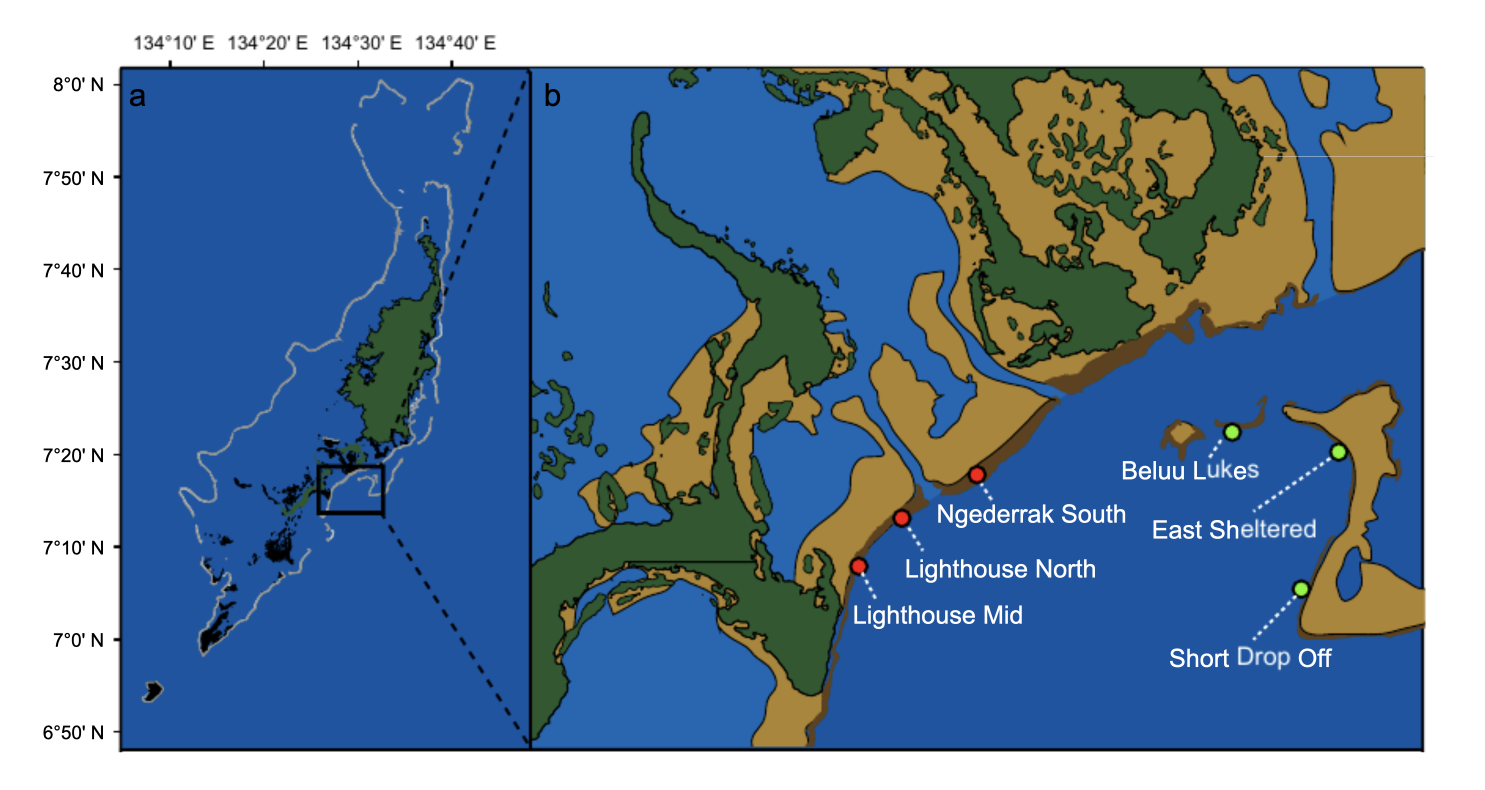 GitHub - marine-ecologist/coral-seed-banks: Code and data for ...